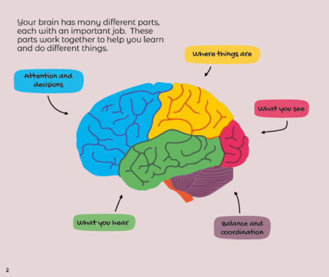 The Brain Building Book by Dr. Liz Angoff - Solution Psychology