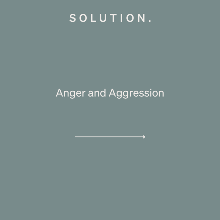 Six things you need to know about internalised autism - Solution Psychology
